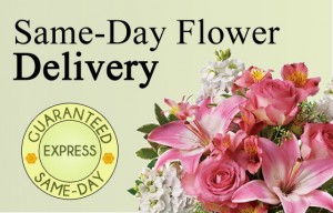 Flower Delivery Express: Brief Overview of This Service